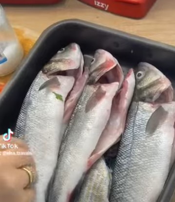 Πώς το λαβράκι ιχθυοτροφείου έγινε το πιο δημοφιλές ψάρι του κόσμου - I ...